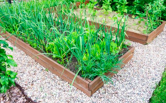 Garden Competitions – New England Garden Festival