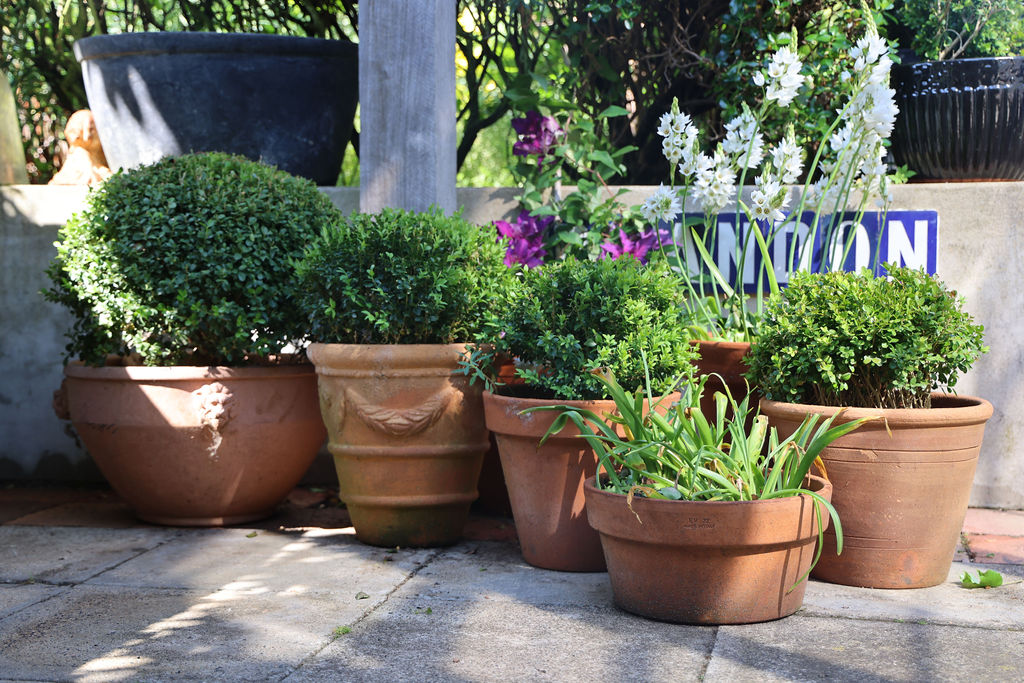 2025 New England Spring Garden Trail – NEW ENGLAND GARDEN FESTIVAL